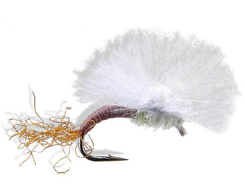 CDC Budding Emerger - PMD #14-18 – Dream Drift Flies