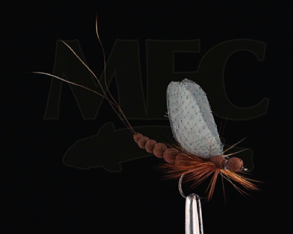 Ibrahim's Wonder-Wing Brown Drake – Dream Drift Flies